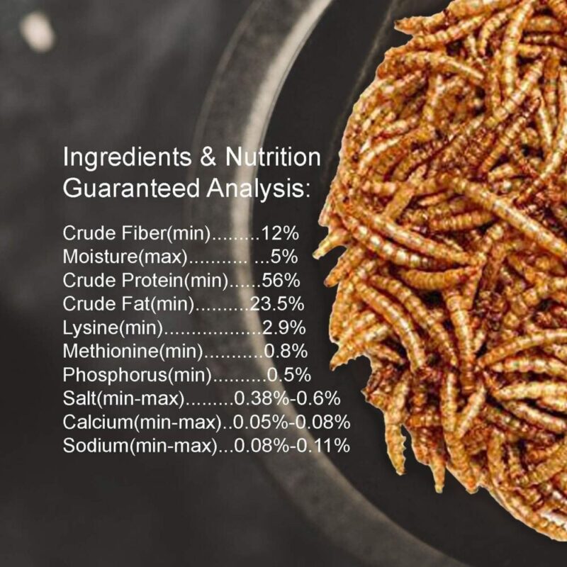 Buy Amzey Appetizing Mealworms 5 LBS- 100% Non-GMO Dried Mealworms ...